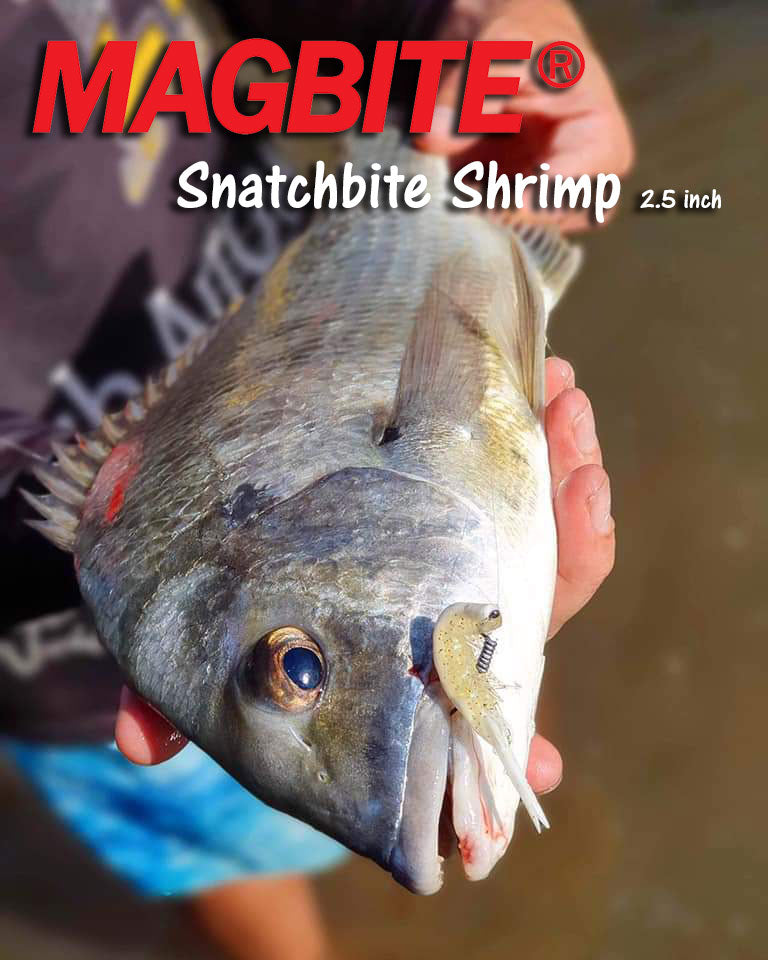 Magbite Snatchbite Shrimp 2.5 inch – Searing Tackle